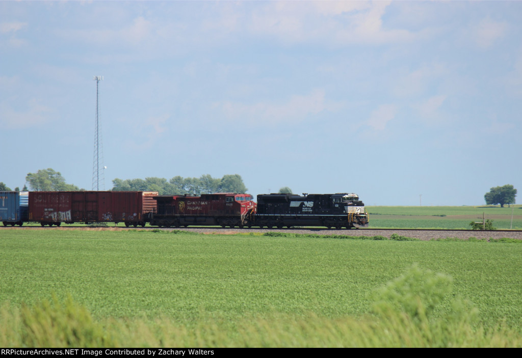 NS 1131 CP 8525